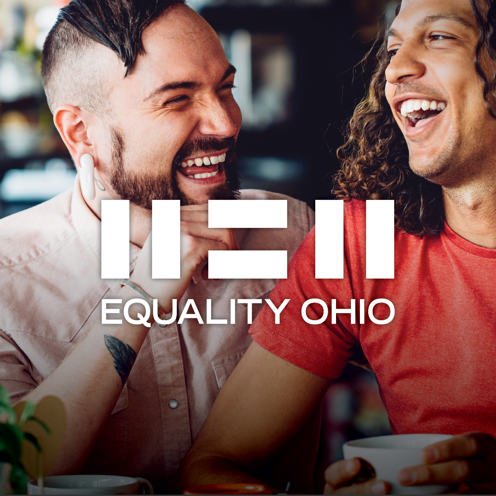 Equality Ohio Website Strategy - Origo Branding Company